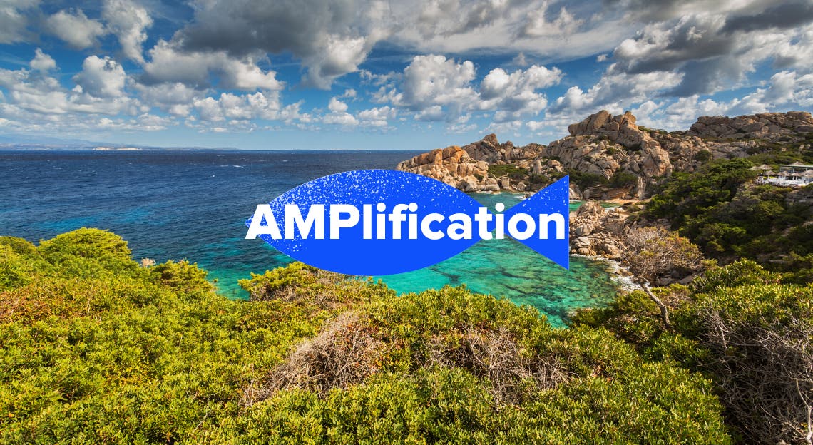 Progetto AMPlification